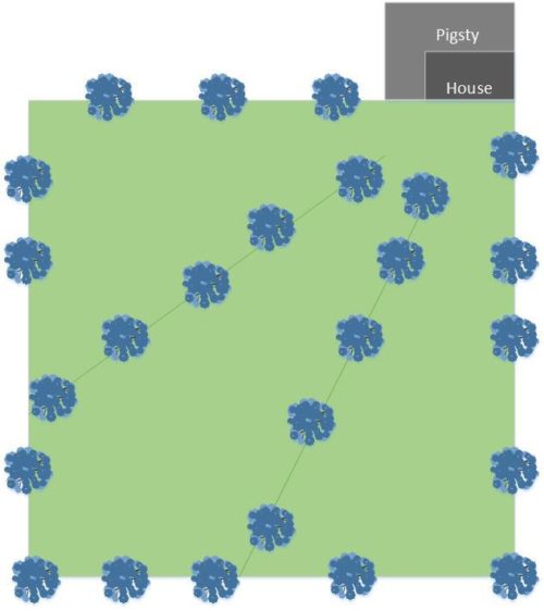 Permaculture pigs: integrating pigs into a permaculture design