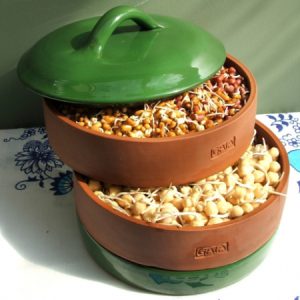 Why are clay pots better for sprouts & microgreens than plastic or glass?