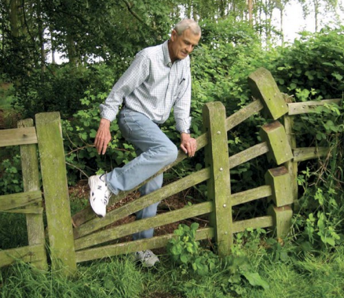 Category Intro - Lowimpact.org