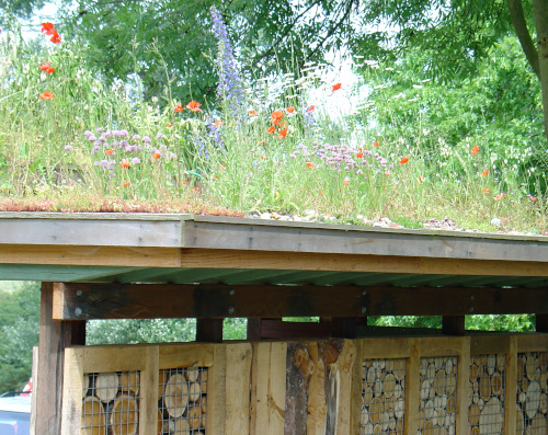 Living roofs - Lowimpact.org
