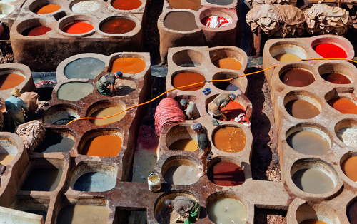 Skins & hides - Lowimpact.org